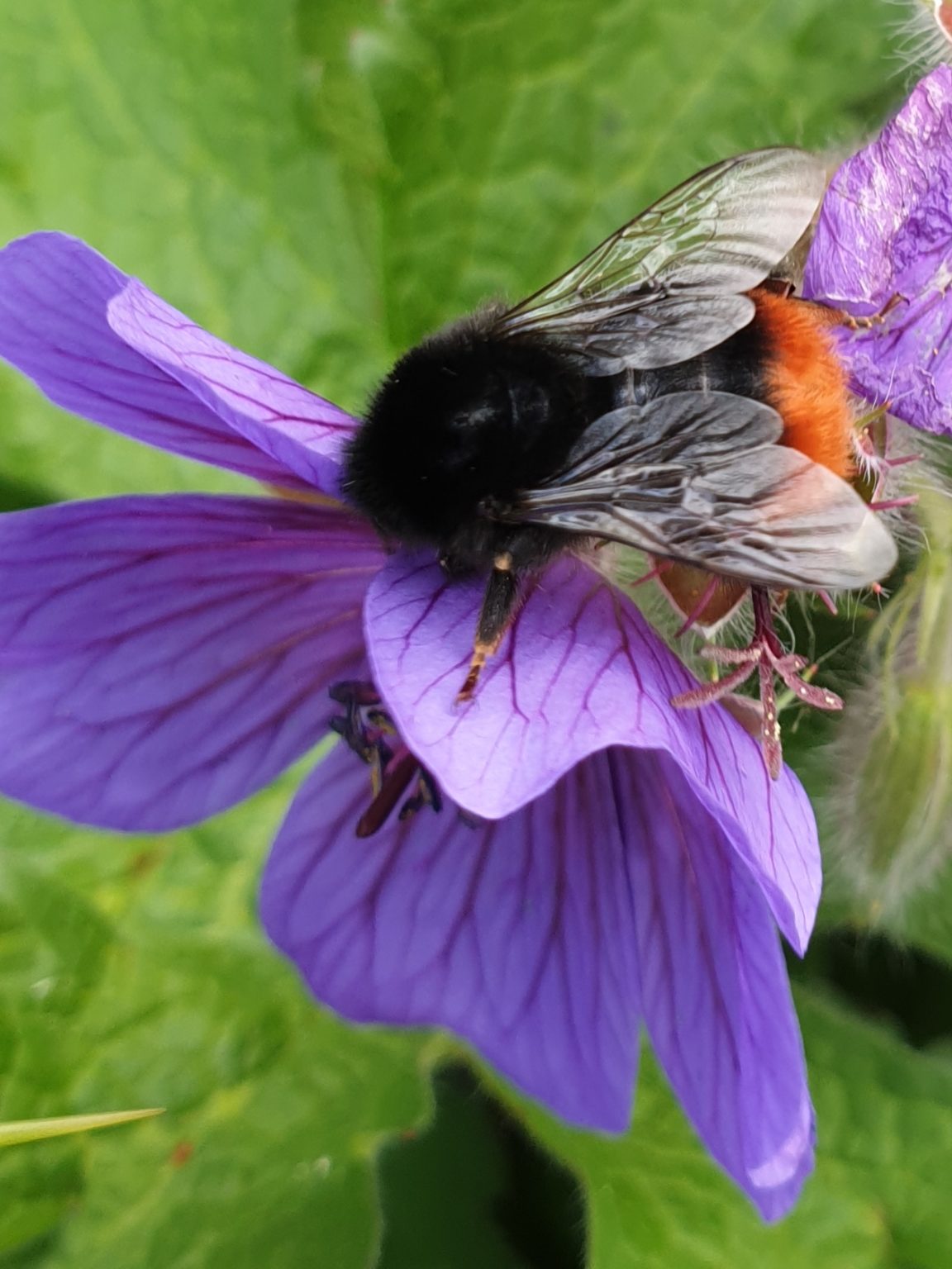 Weiterbildung Natur- und Wildnispädagogik „Draußen Zuhause“. Beginn 23. April 2026 – 14. März ...