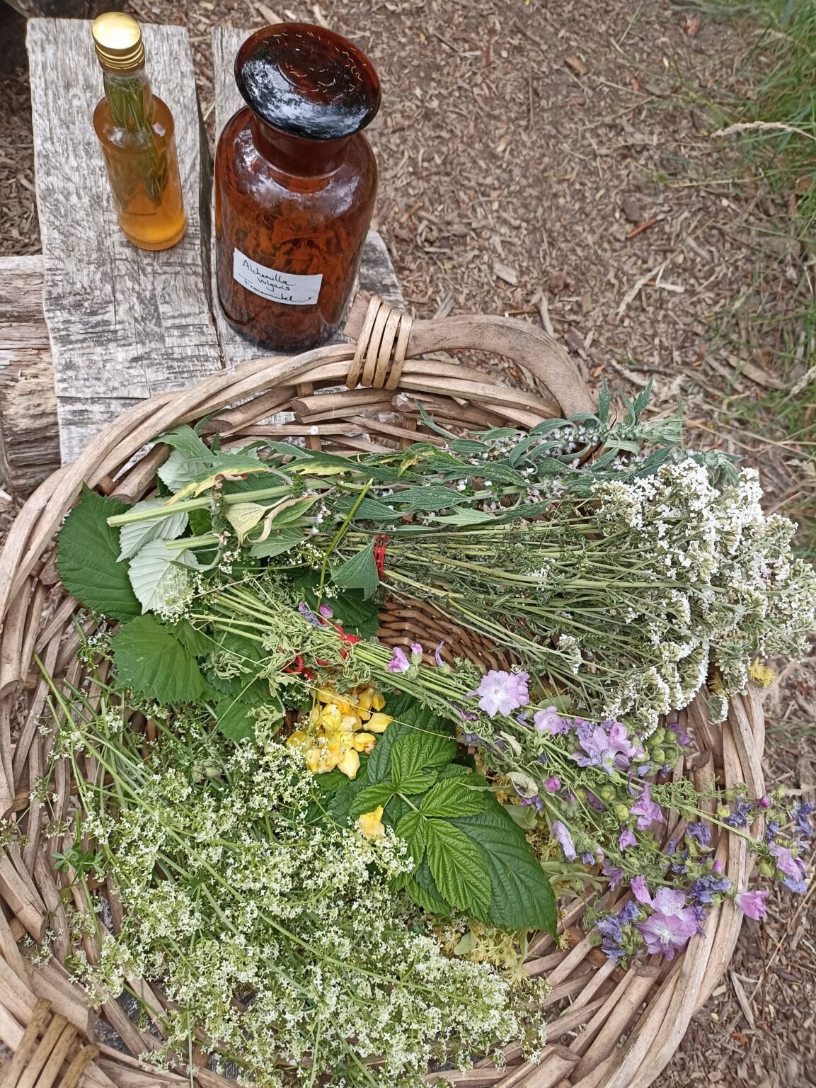 Weiterbildung Natur- und Wildnispädagogik „Draußen Zuhause“. Beginn 23. April 2026 – 14. März ...